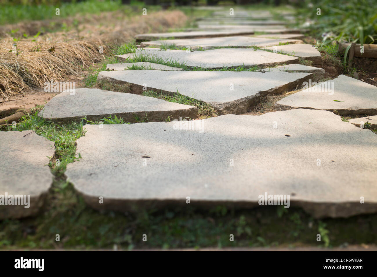 Crack in grey outdoor concrete surface Stock Photo - Alamy