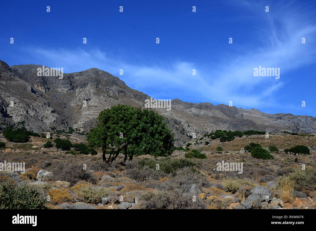 landscape on crete Stock Photo - Alamy