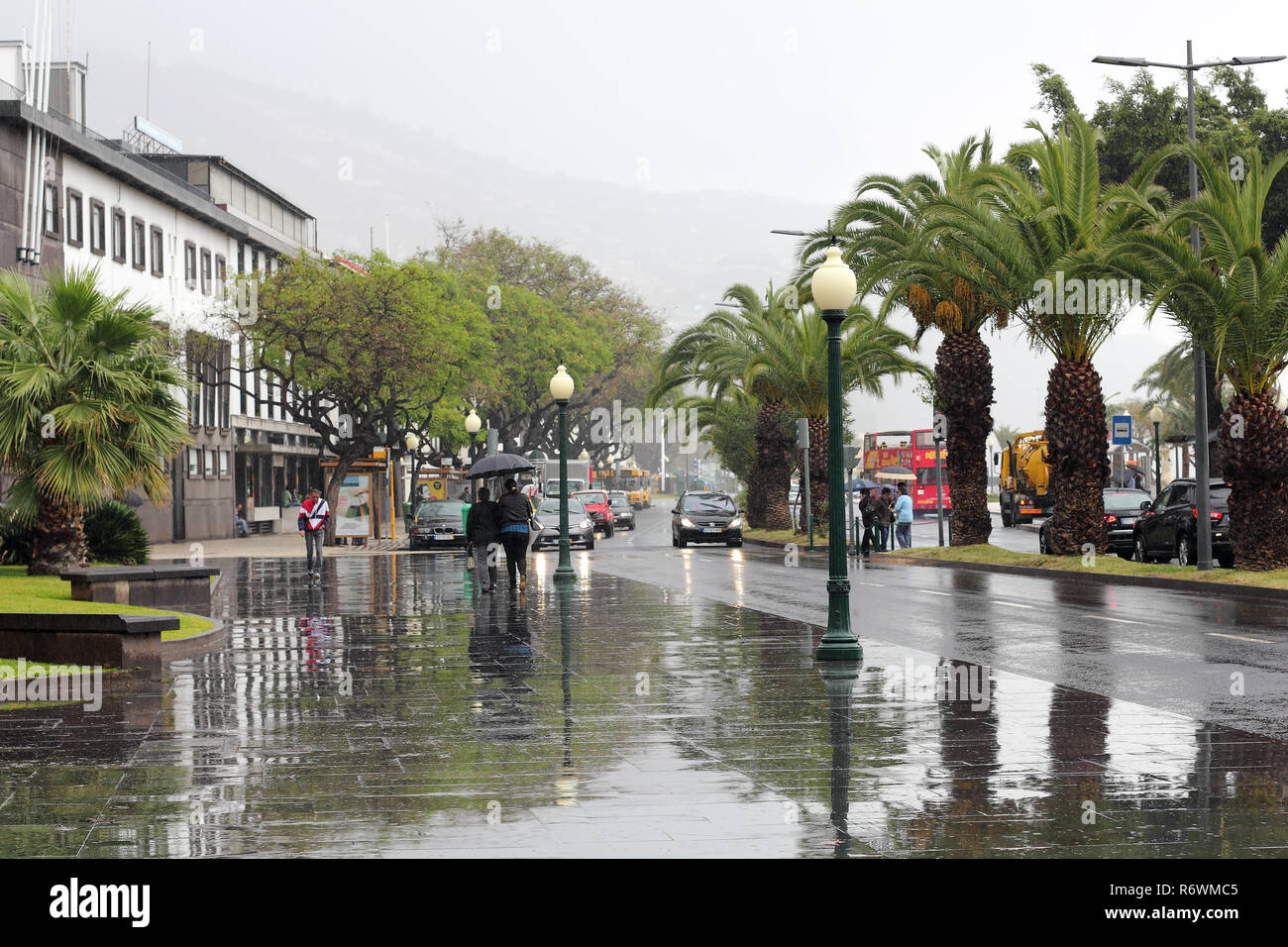 Avenida Do Mar Madeira High Resolution Stock Photography and Images - Alamy