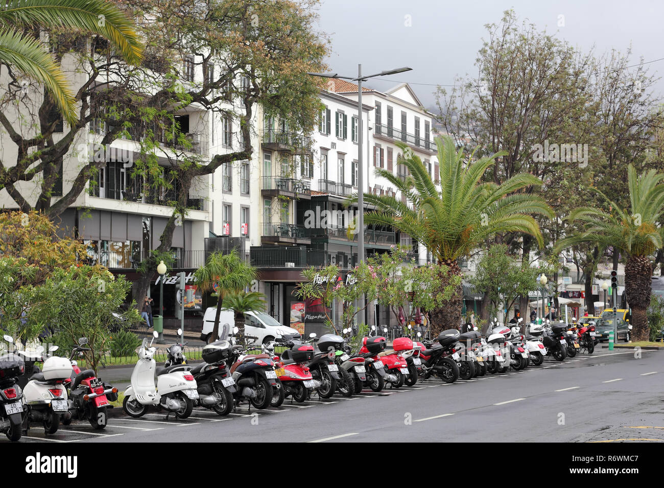 Avenida Do Mar Madeira High Resolution Stock Photography and Images - Alamy