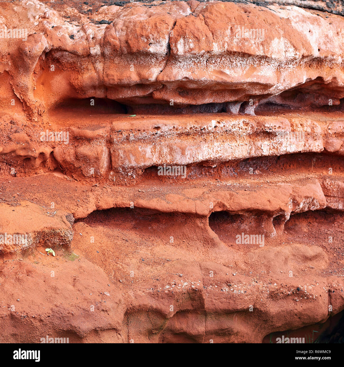 Red tuff at the South coast of Madeira Stock Photo - Alamy