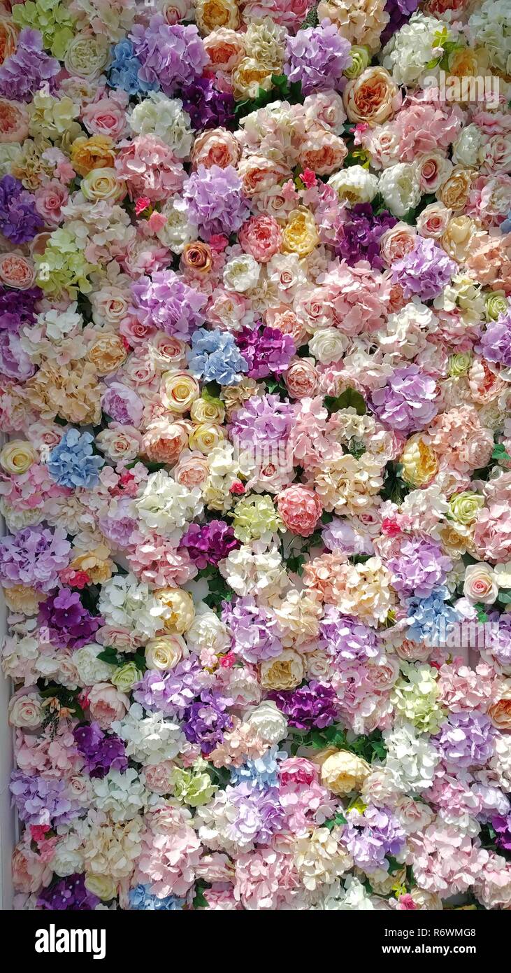 flowers in the wall with nice color and lighting with dark and light ...