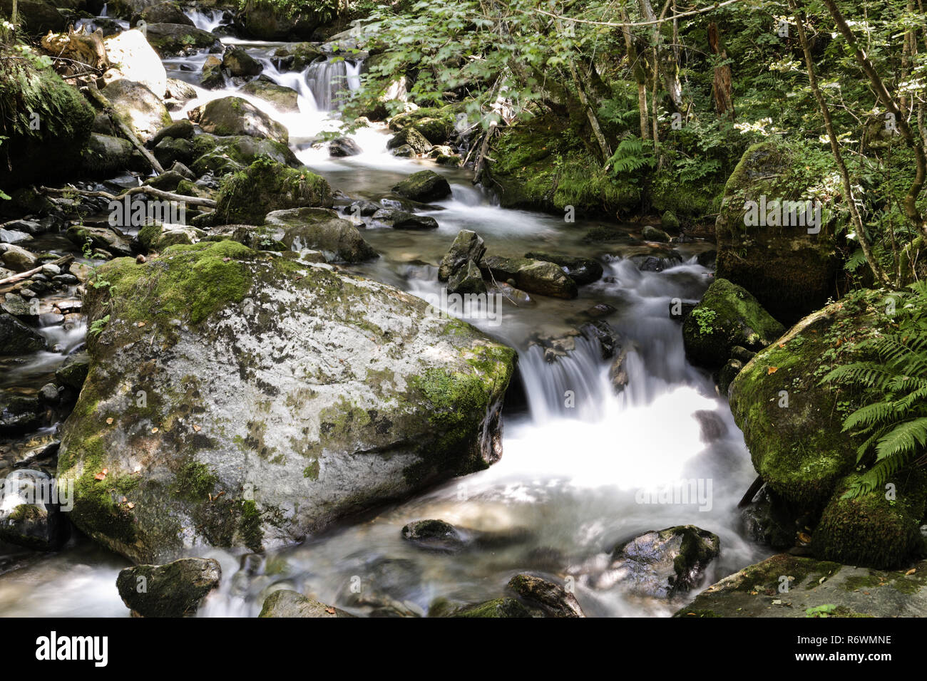 Soft water river Stock Photo - Alamy