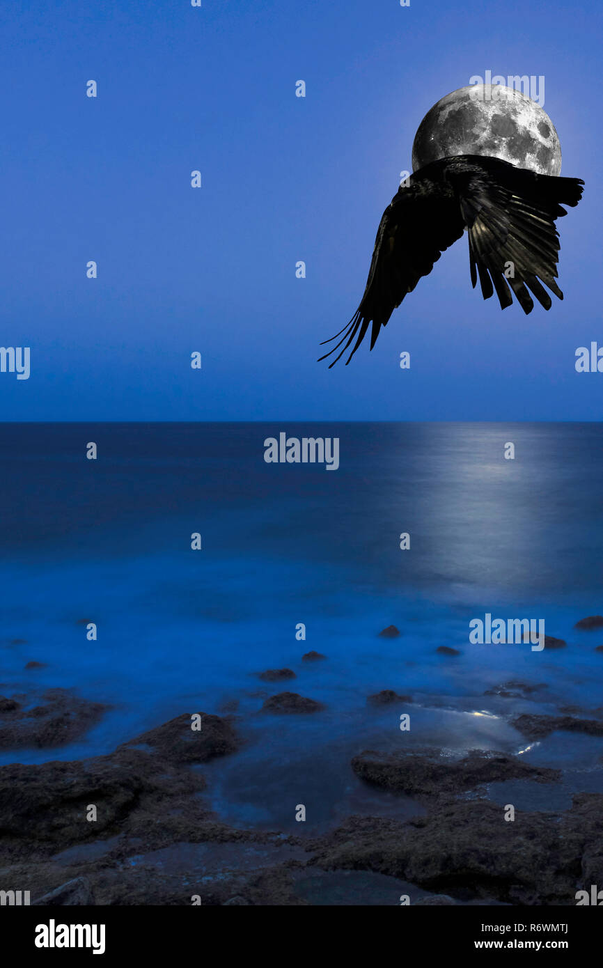 Full moon over Atlantic Ocean with silhouette of flying raven Stock ...