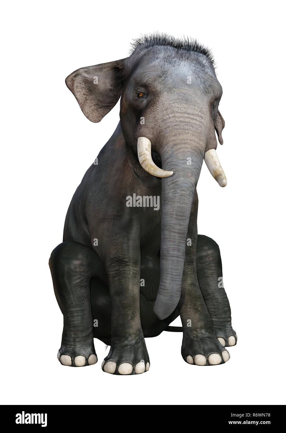 3D Rendering Indian Elephant on White Stock Photo - Alamy
