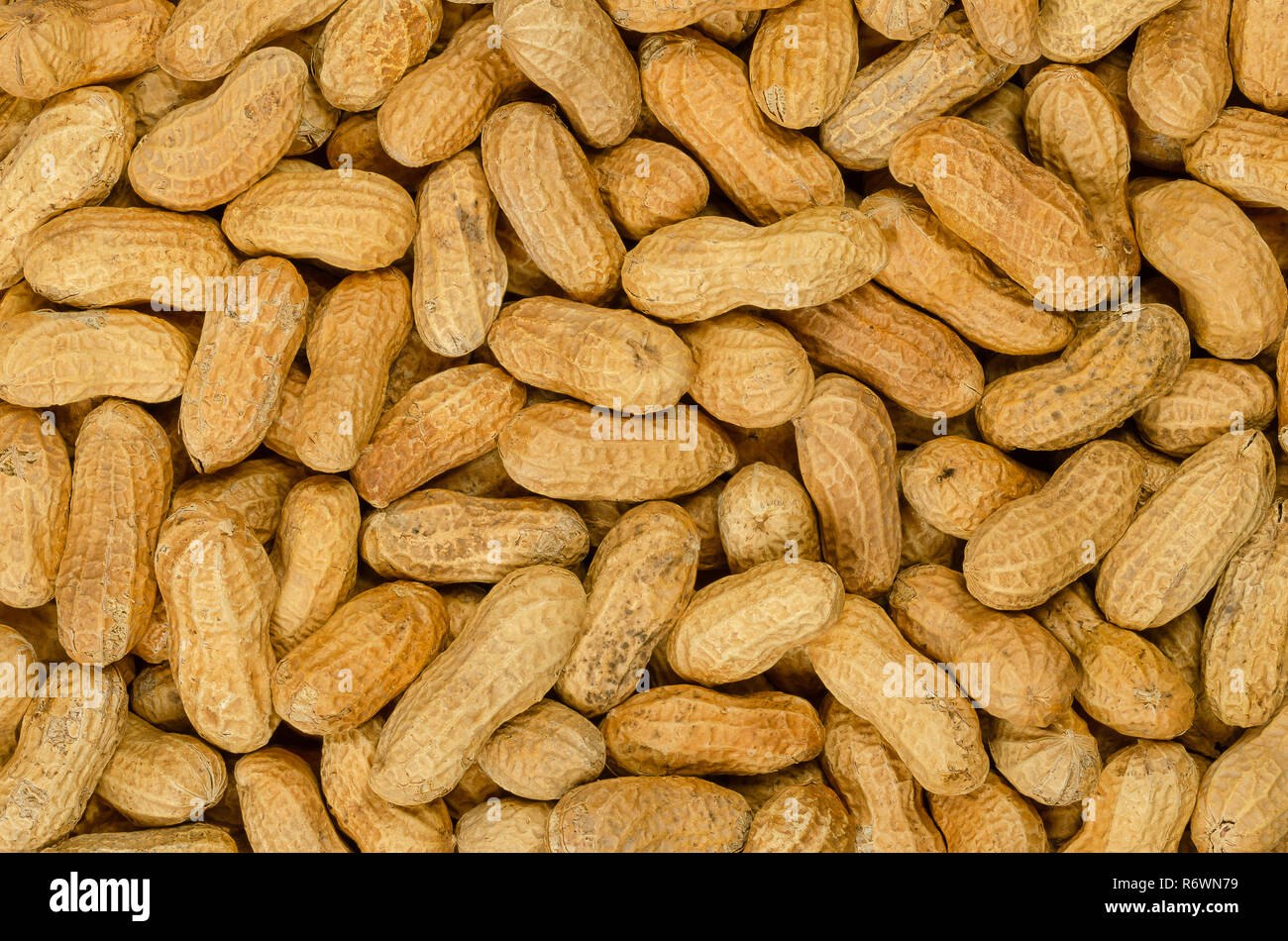 Peanuts with shell, background, macro food photo. Also groundnut or ...