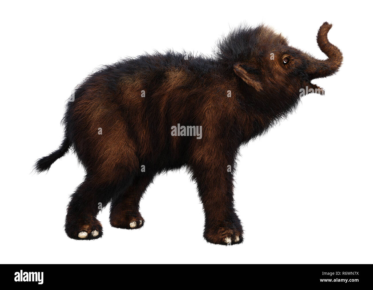 3D Rendering Woolly Mammoth Baby on White Stock Photo - Alamy