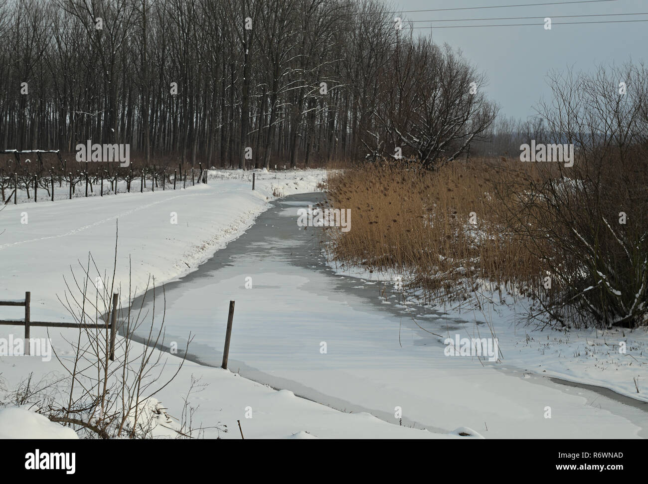 winter landscape with frozen canal and snow all around Stock Photo - Alamy