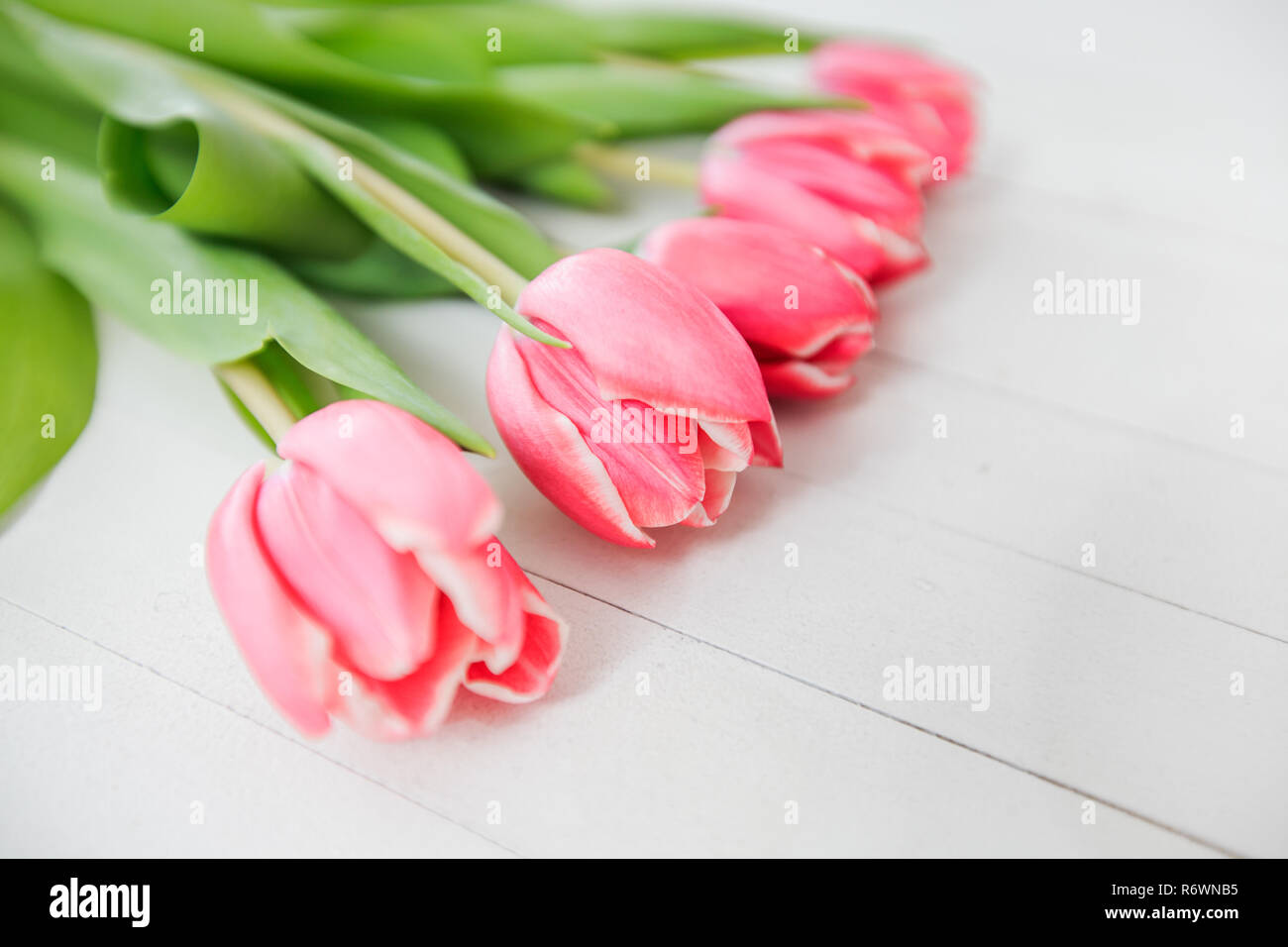 Spring Love Romance Tulip Stock Photo - Alamy