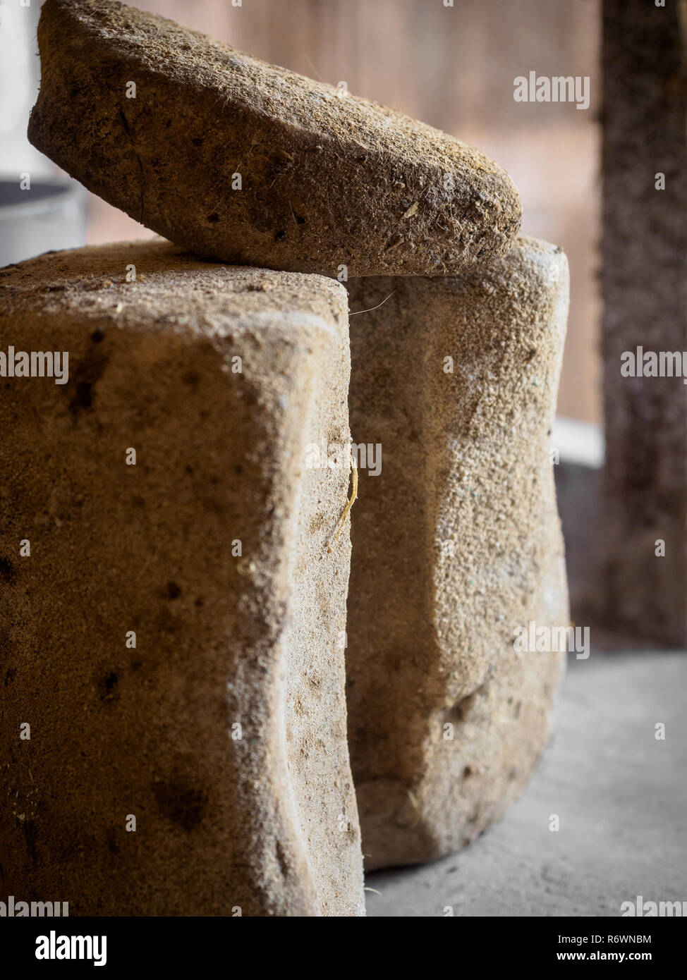 Salt lick block hi-res stock photography and images - Alamy