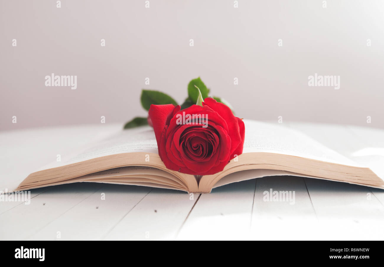 Rose and Book romance love Stock Photo - Alamy
