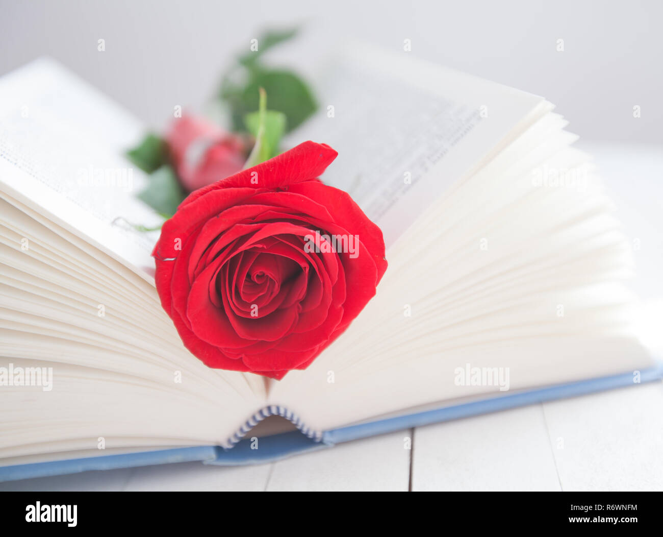 Library collection page bookpage hi-res stock photography and images ...