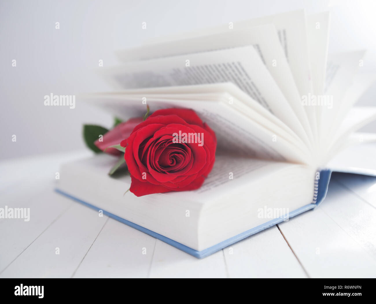 Rose and Book romance love Stock Photo - Alamy