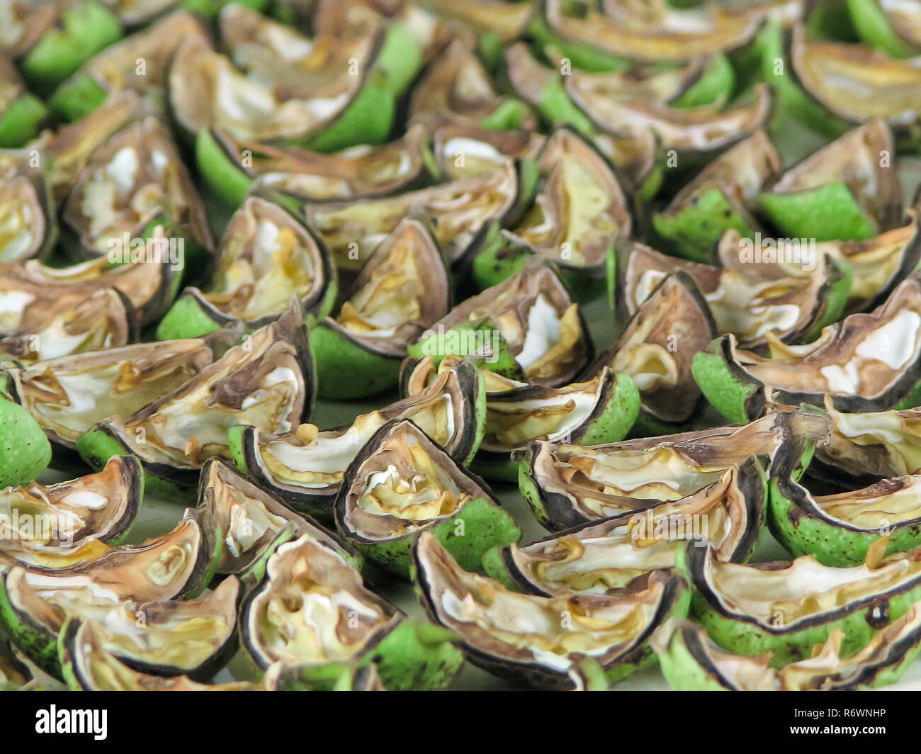 Green sliced walnuts for Nochino liqueur Stock Photo - Alamy