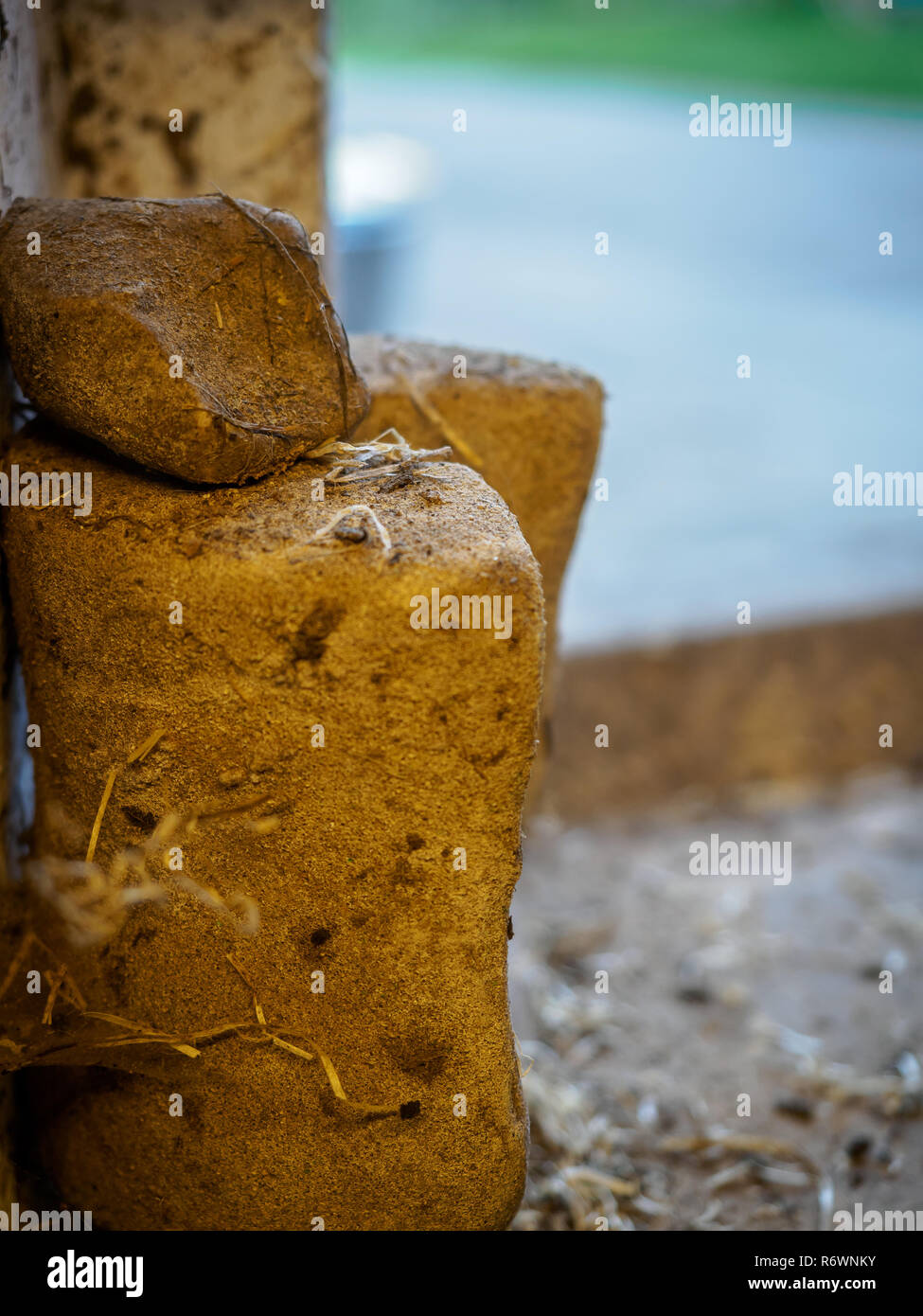 Salt lick block hi-res stock photography and images - Alamy