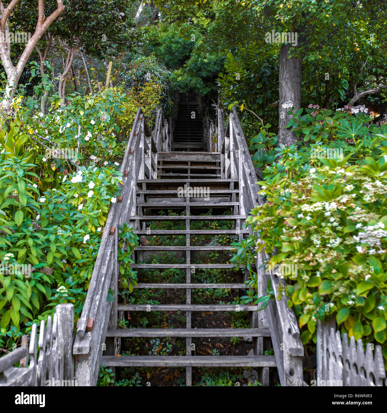 Wooden steps up steep hill hi-res stock photography and images - Alamy