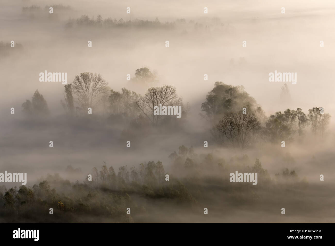 Autumn landscape, Italy Stock Photo - Alamy