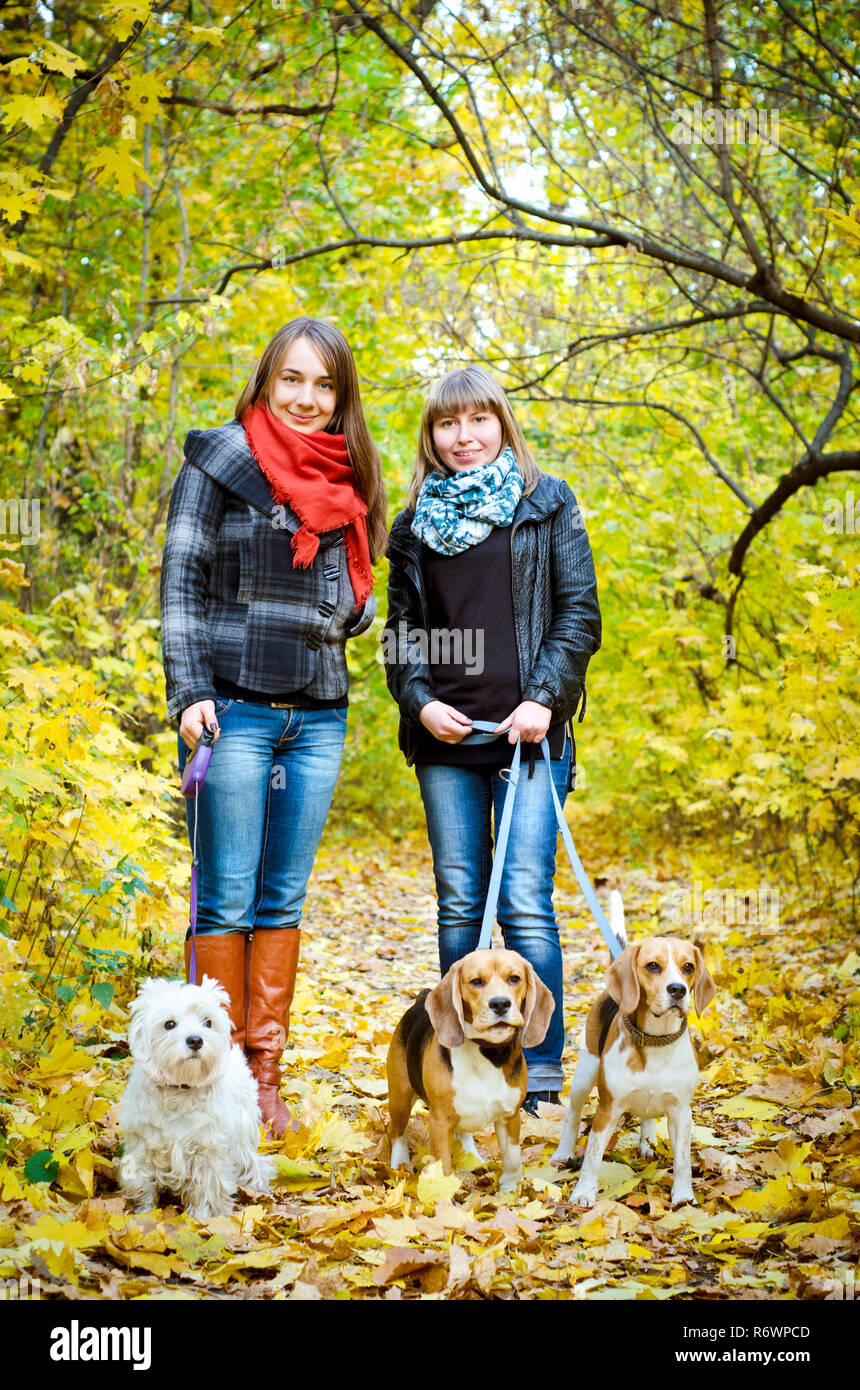 women walking in the park with dogs Stock Photo - Alamy