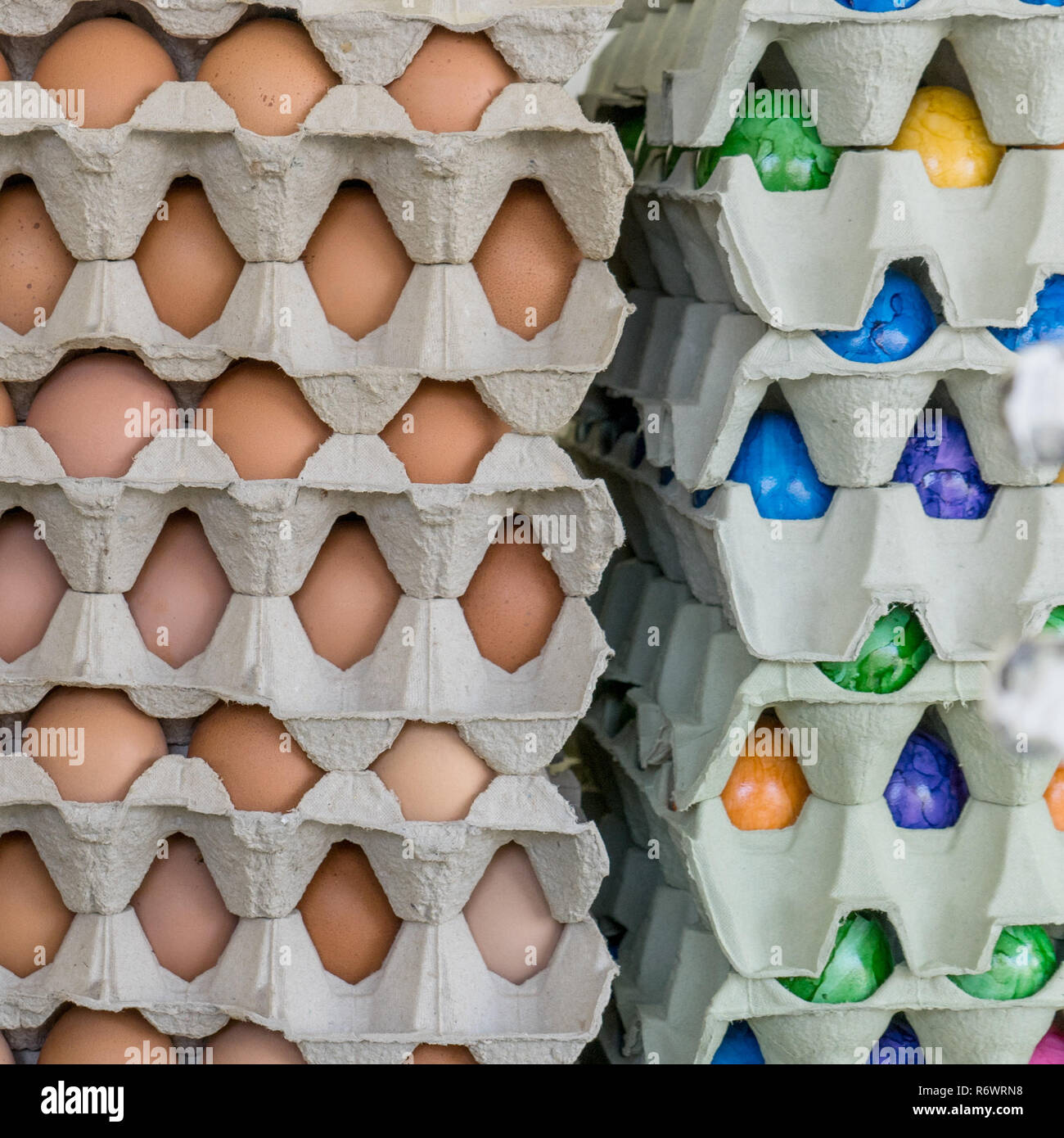 Eggs containers tray boxes hi-res stock photography and images - Alamy