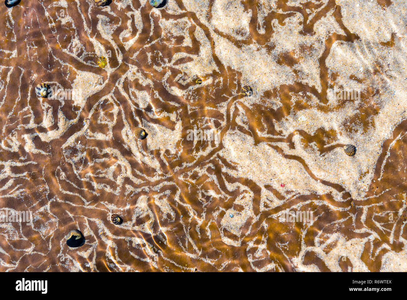 Nature abstract background with sea snail line trails in the water sand ...