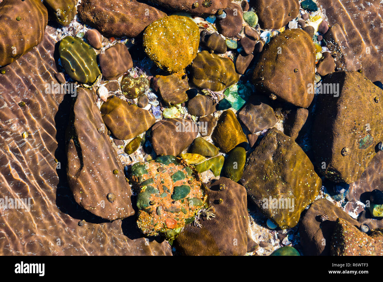 Nature abstract background with colourful rocks in water sand Stock ...
