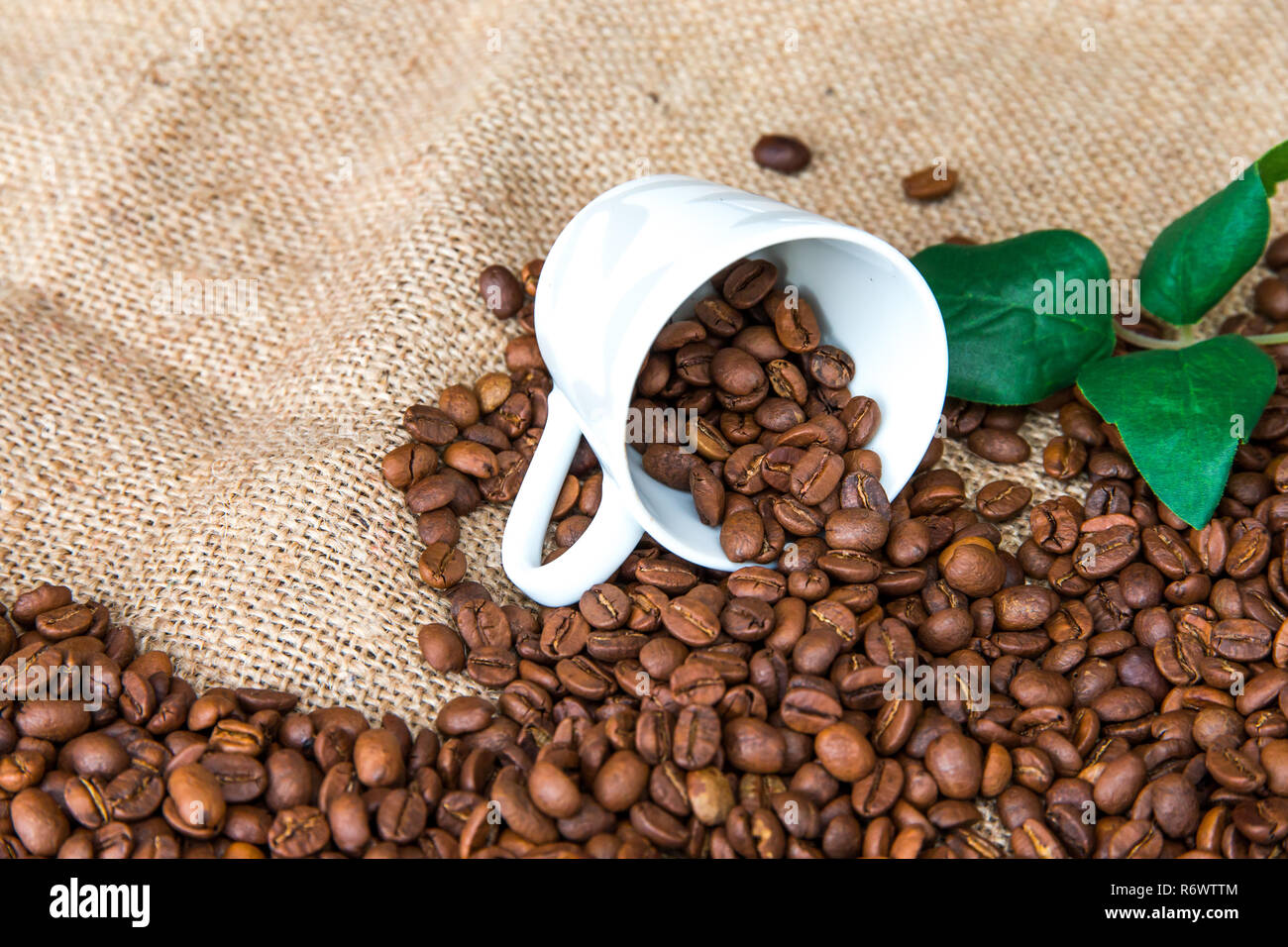 Coffee for all Stock Photo - Alamy