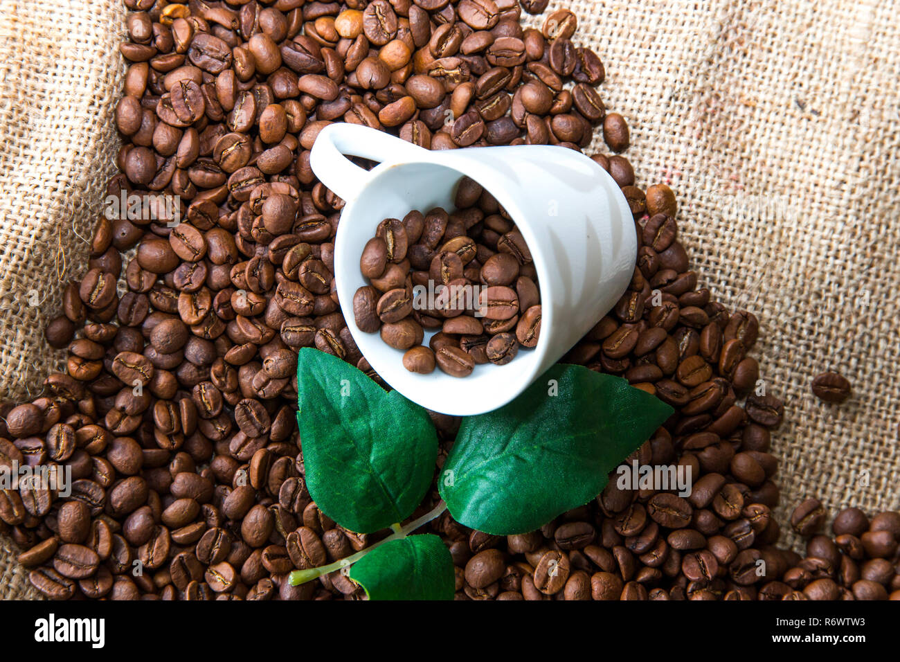 Coffee for all Stock Photo - Alamy