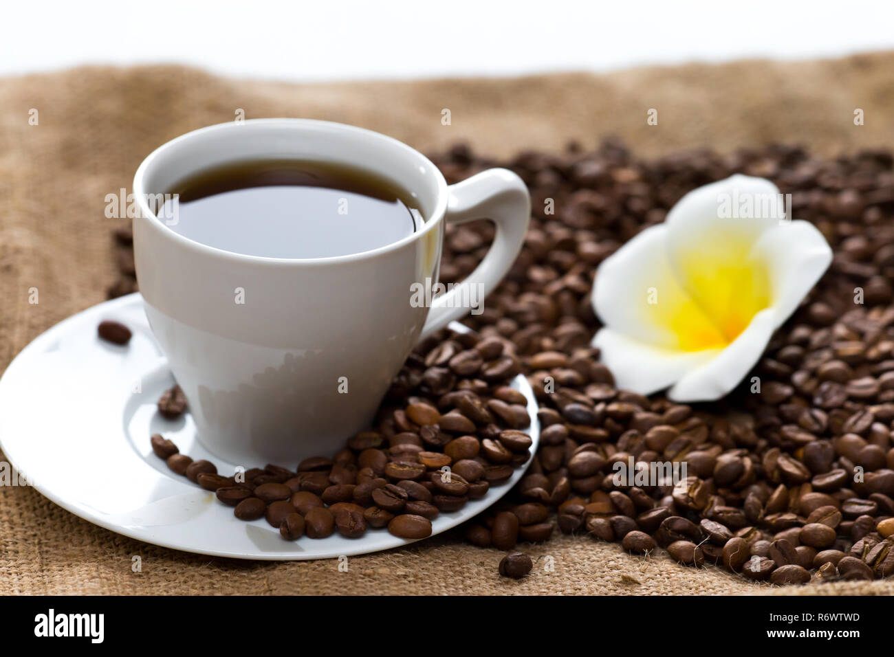 Coffee for all Stock Photo - Alamy