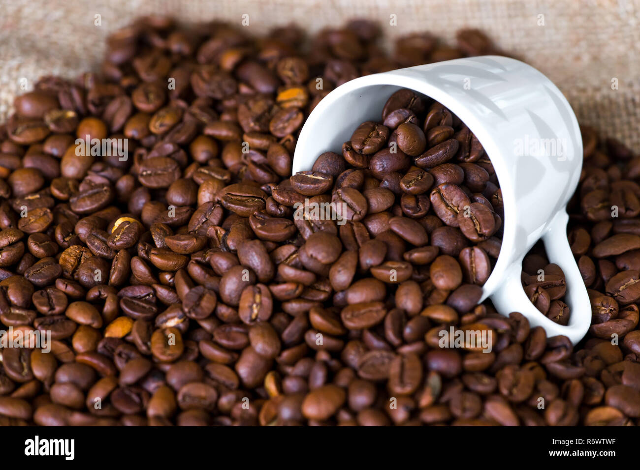 Coffee for all Stock Photo - Alamy