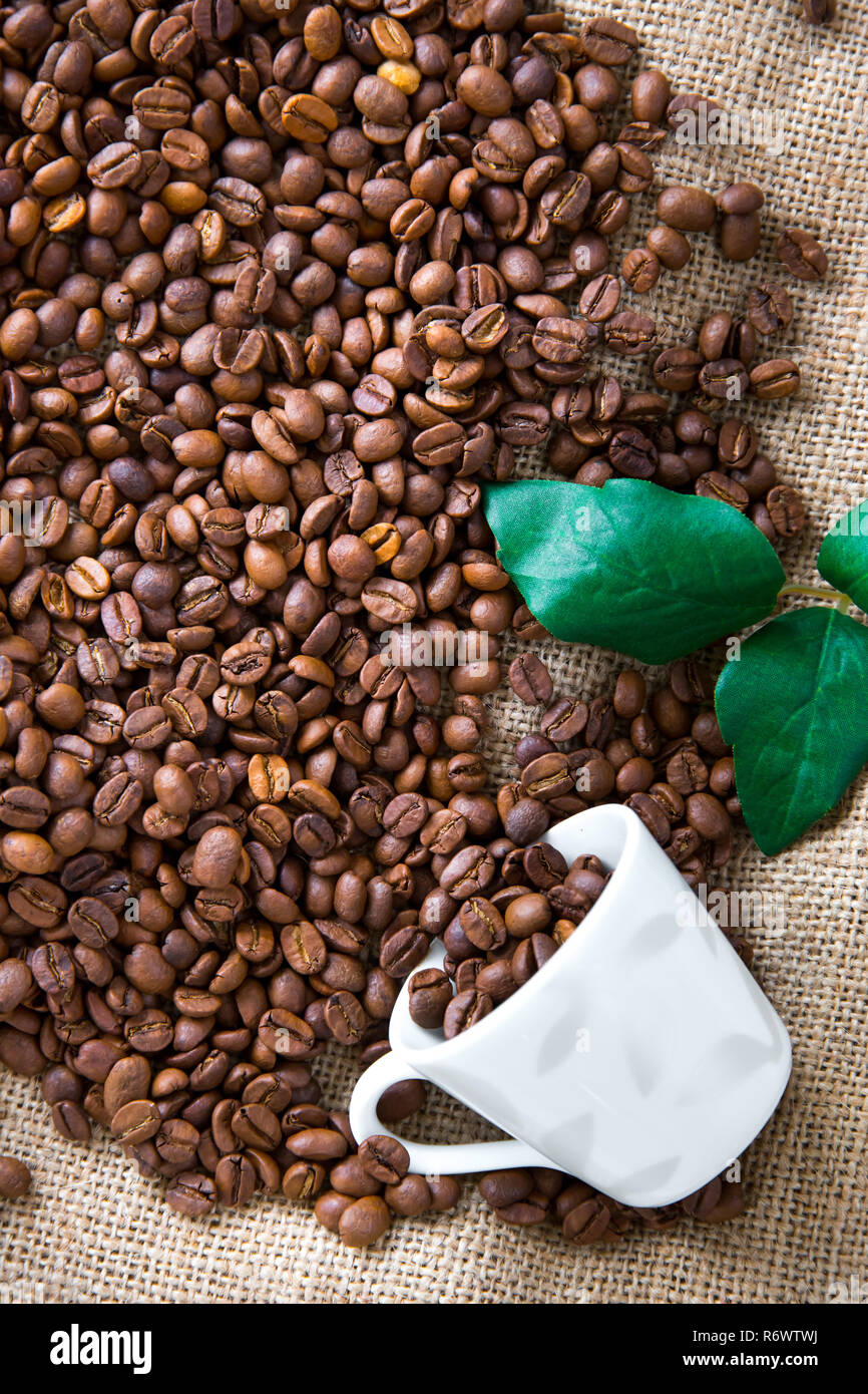 Coffee for all Stock Photo - Alamy