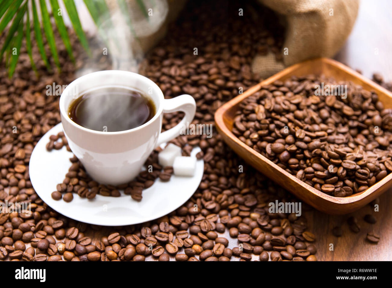 Coffee for all Stock Photo - Alamy