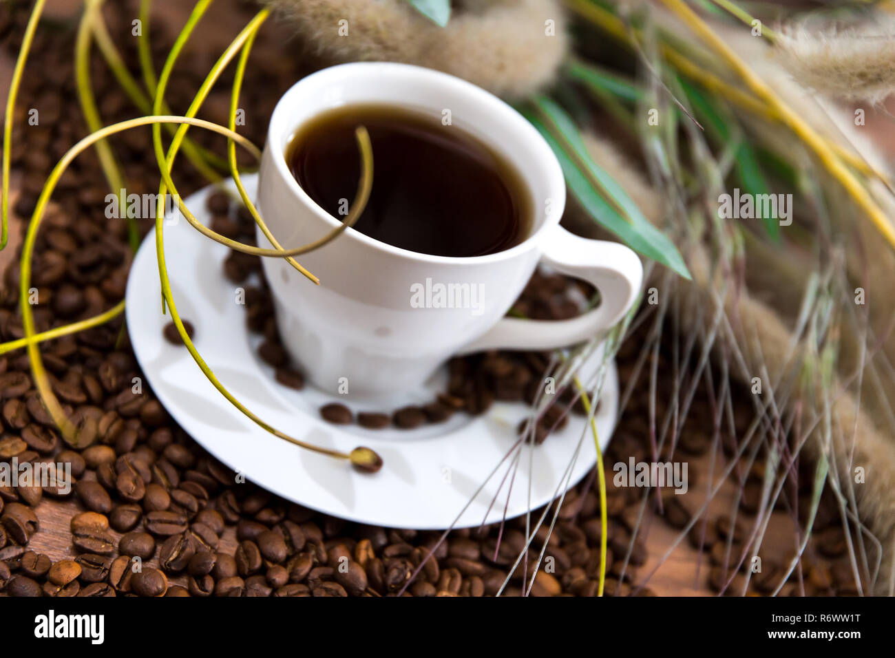Coffee for all Stock Photo - Alamy