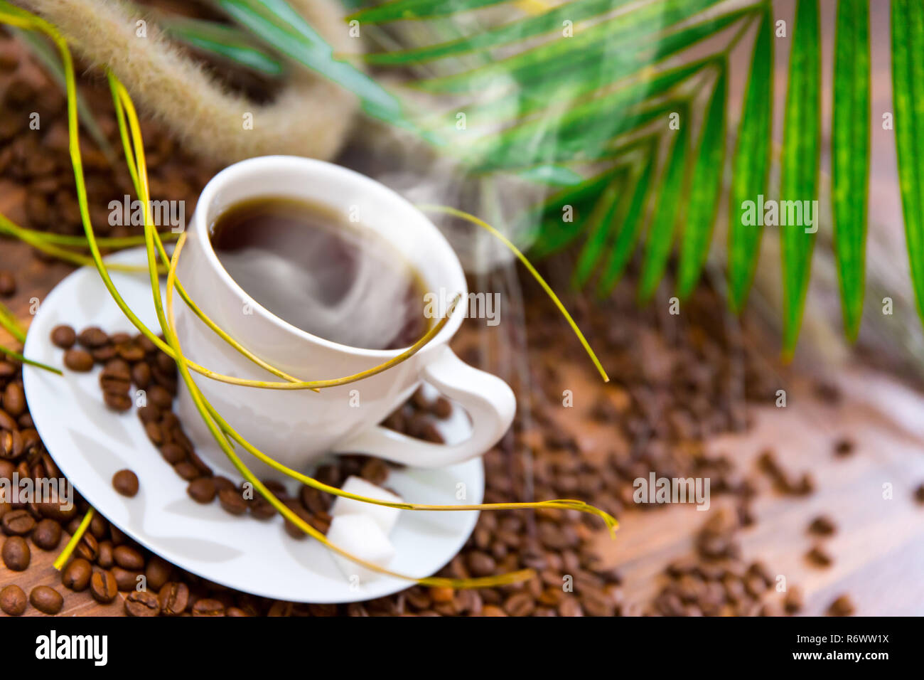 Coffee for all Stock Photo - Alamy