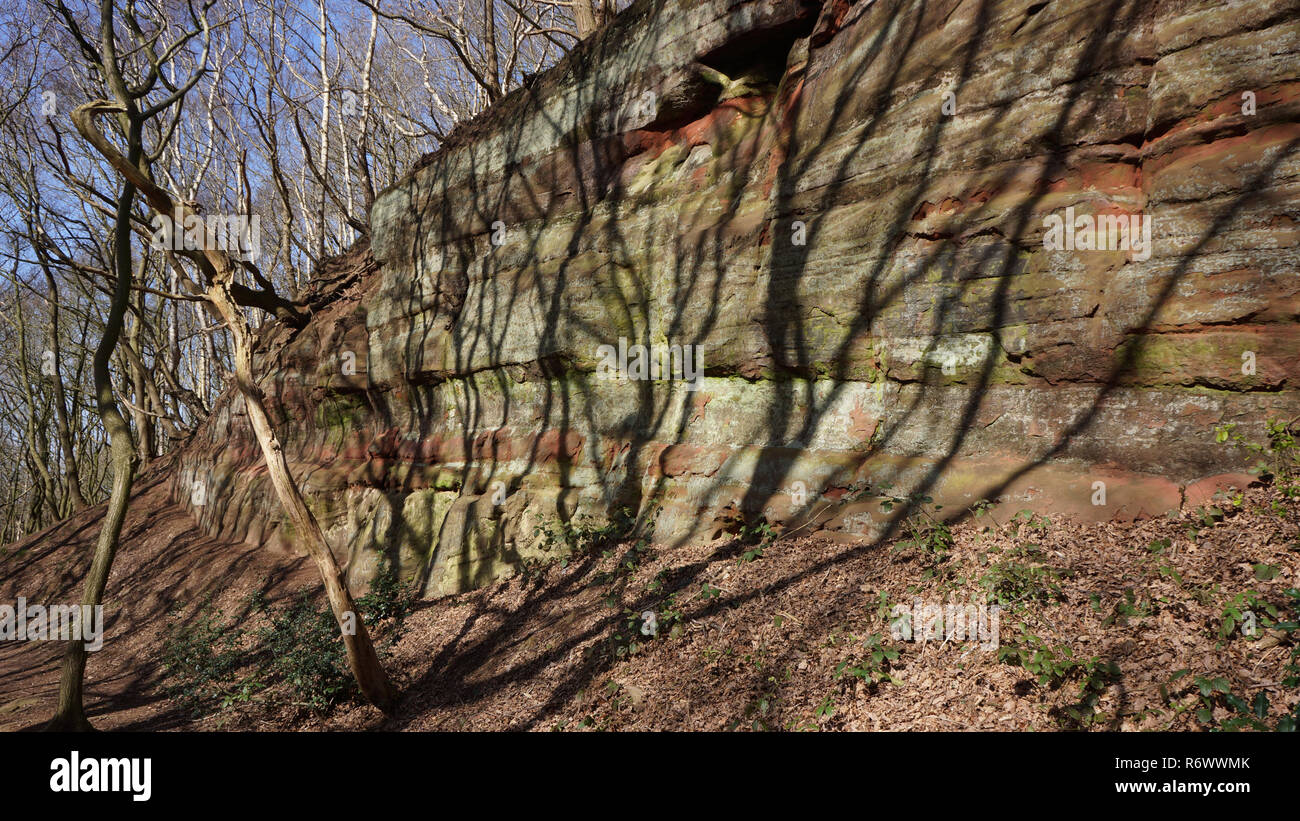 Shadows of the deciduous trees cast across the weathered sandstone ...