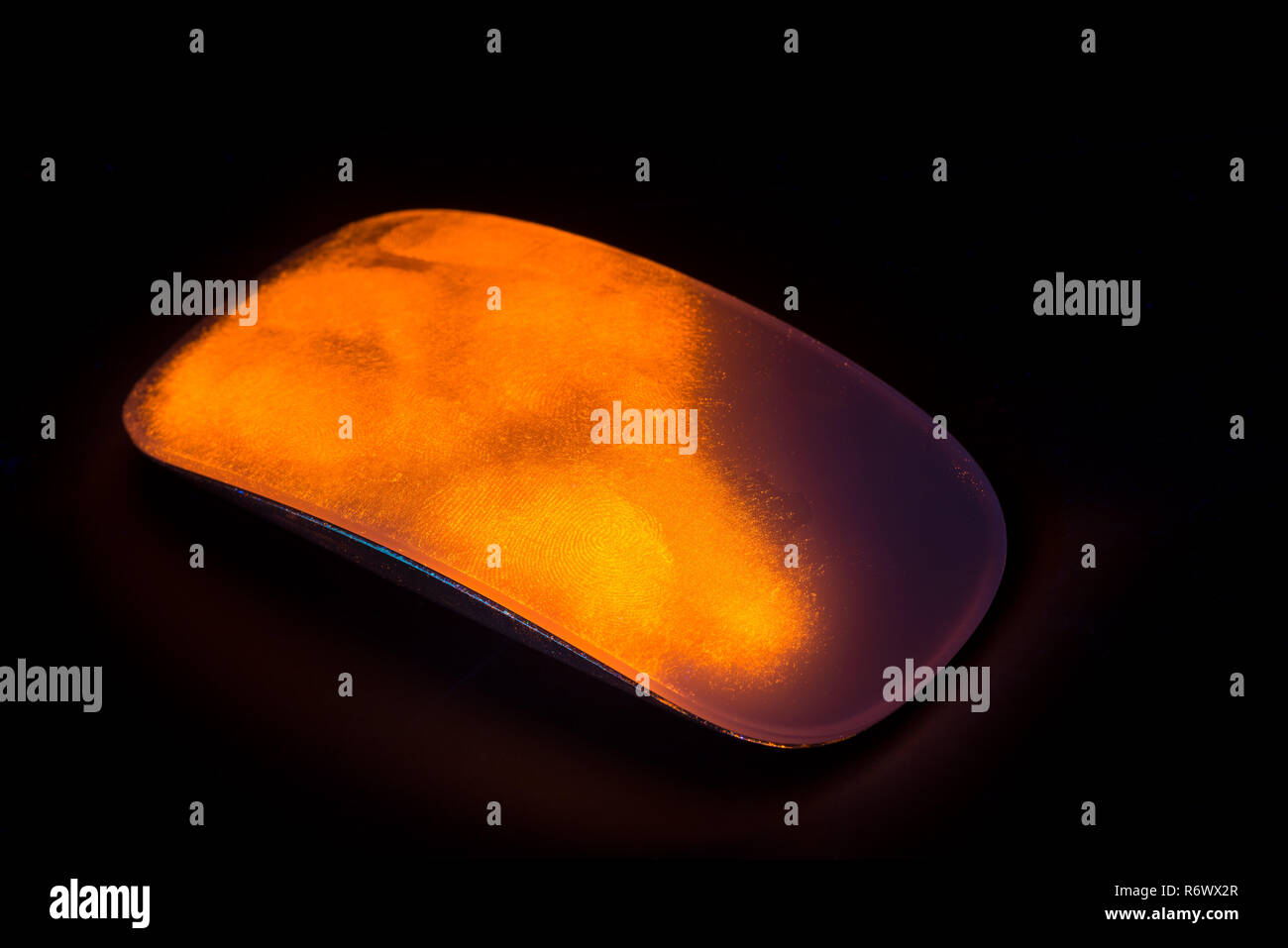 Fluorescent Mouse High Resolution Stock Photography and Images - Alamy