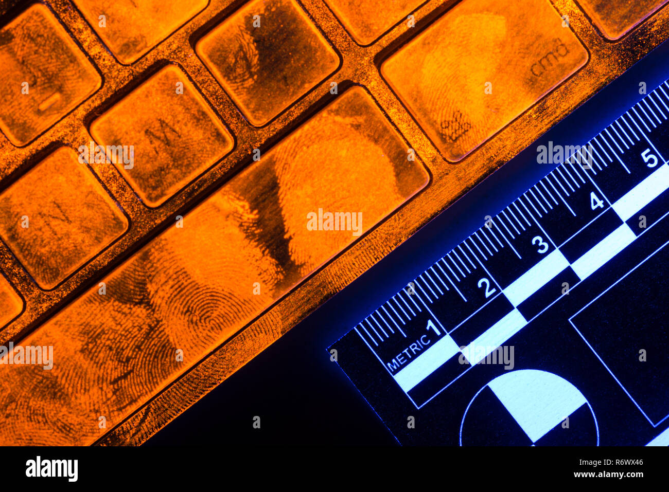 Forensic ruler hi-res stock photography and images - Alamy