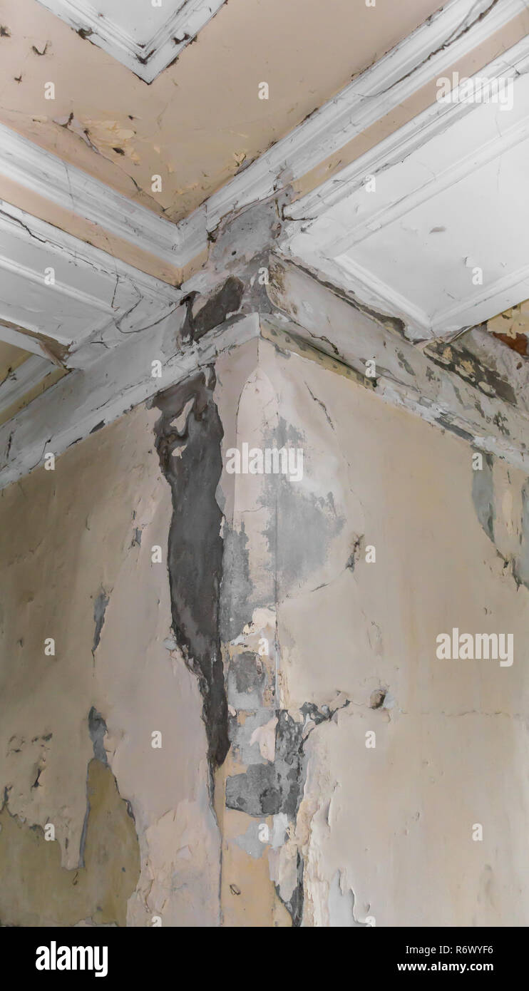 Humidity Damage High Resolution Stock Photography and Images - Alamy