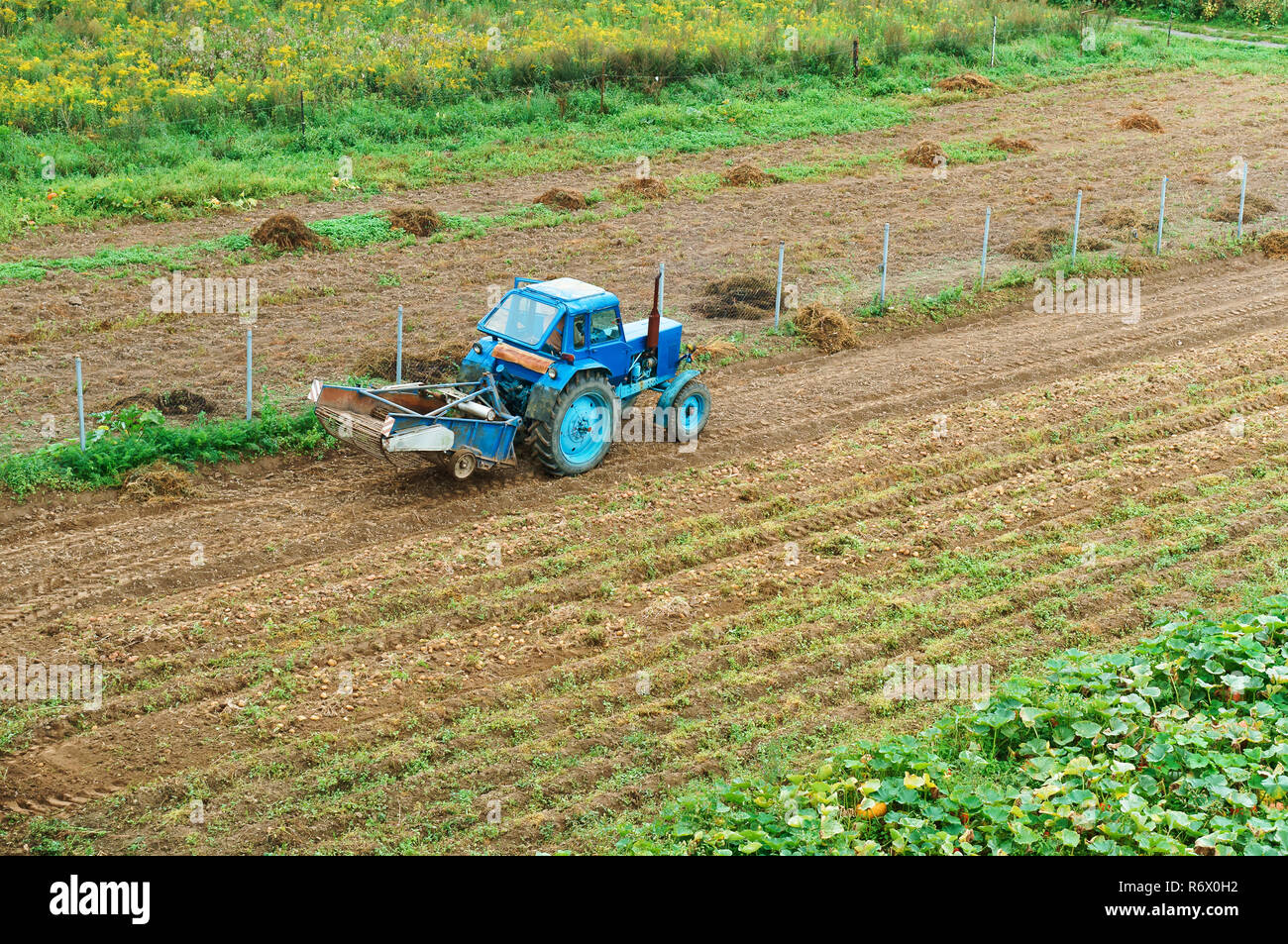 Potato harvesting machine hi-res stock photography and images - Alamy