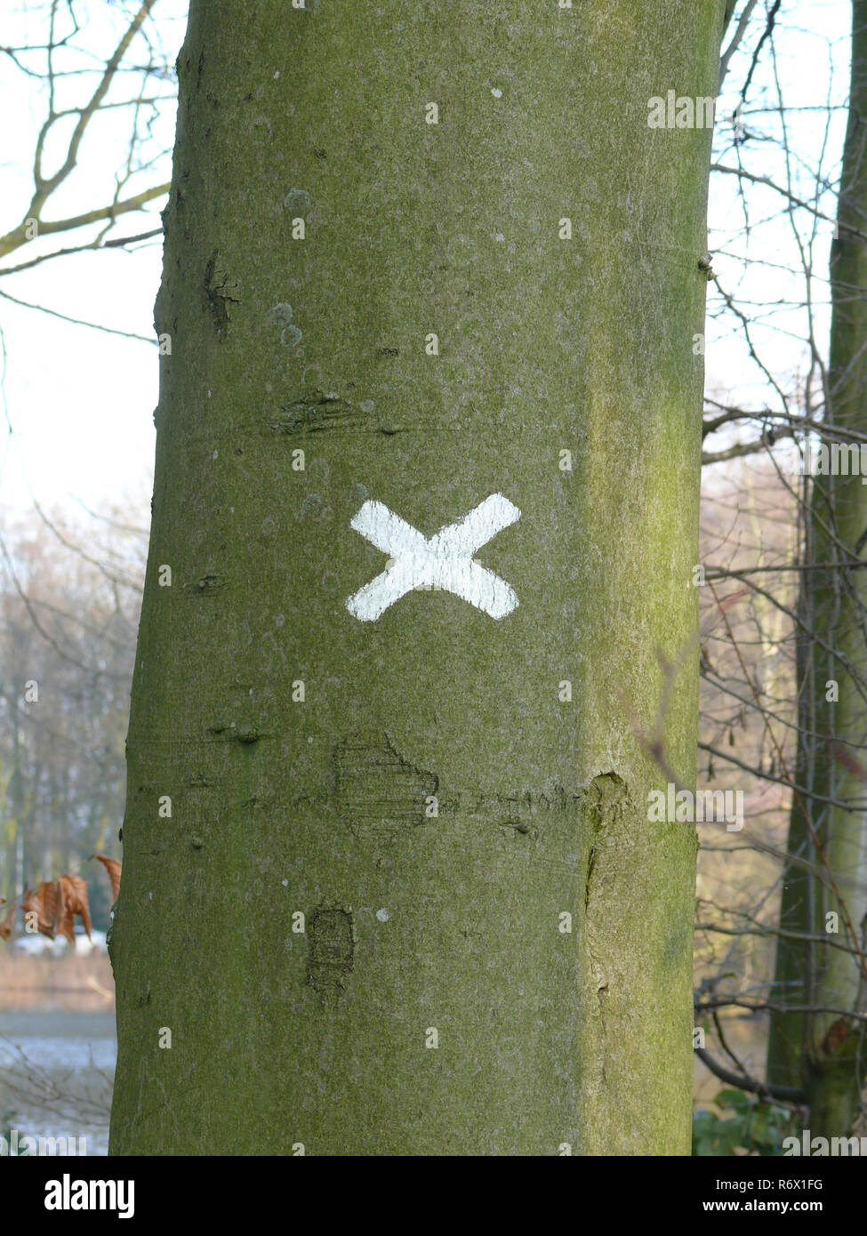 Forstzeichen hi-res stock photography and images - Alamy