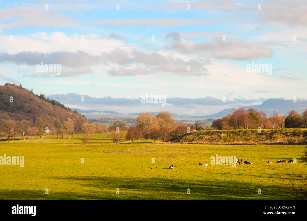 River Lune at the Crook of Lune Caton Lancaster Lancashire England UK ...