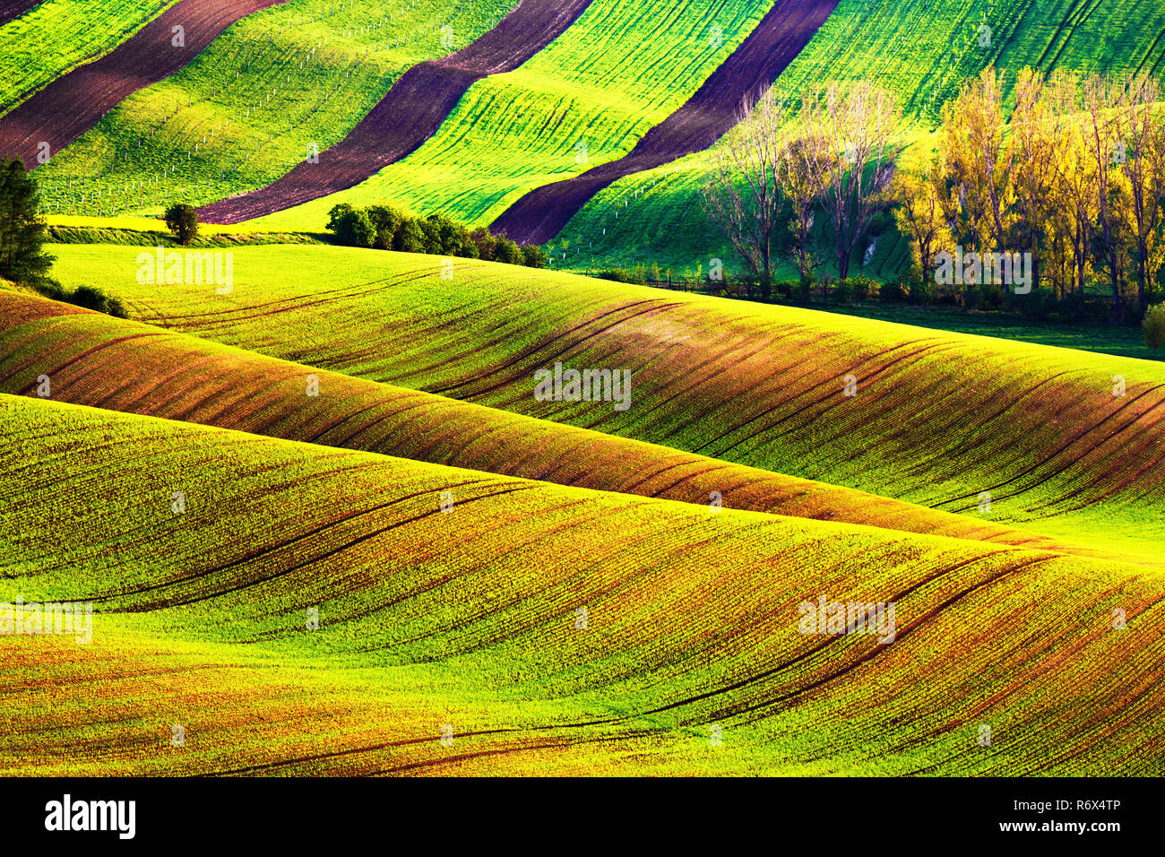Rolling spring fields. Arable lands in Czech Moravia Stock Photo - Alamy