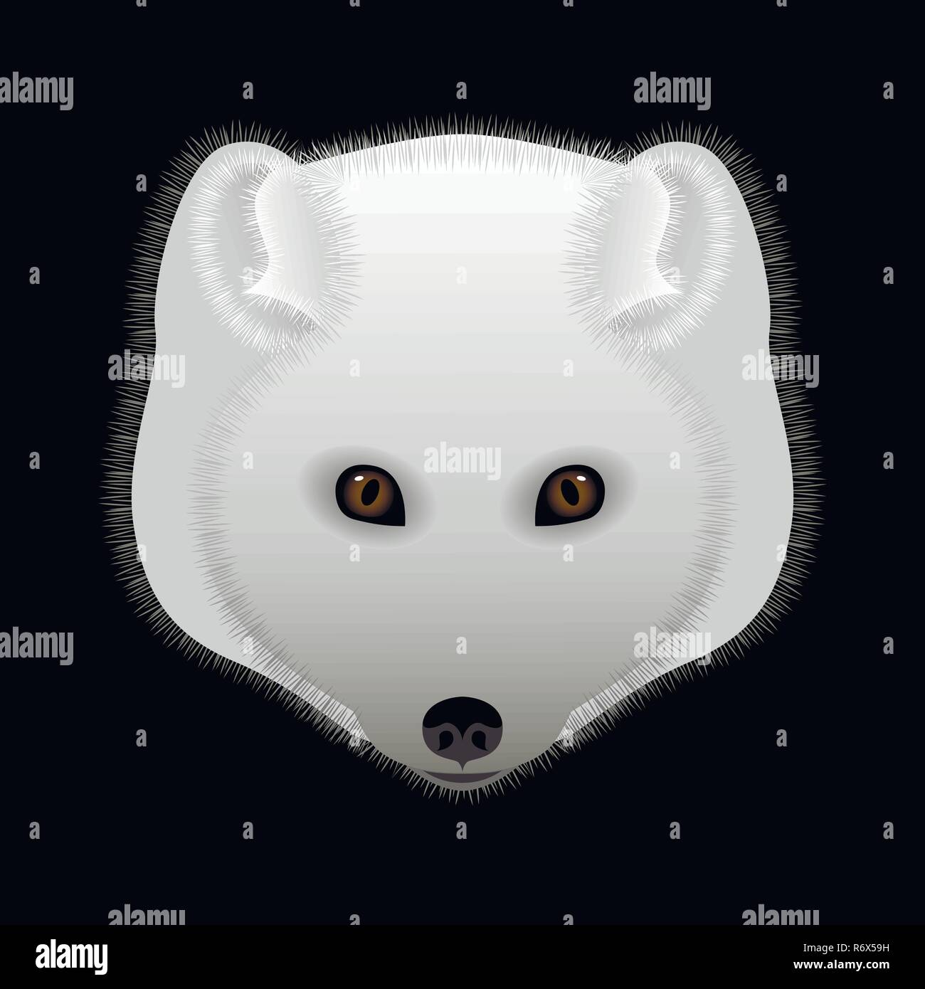 Arctic fox. Portrait, head. Predatory animal of the north. Vector ...