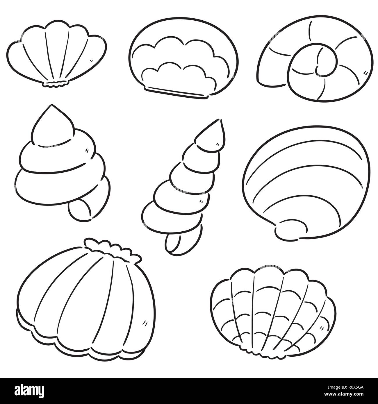 Oyster animal sketch shell Black and White Stock Photos & Images - Alamy