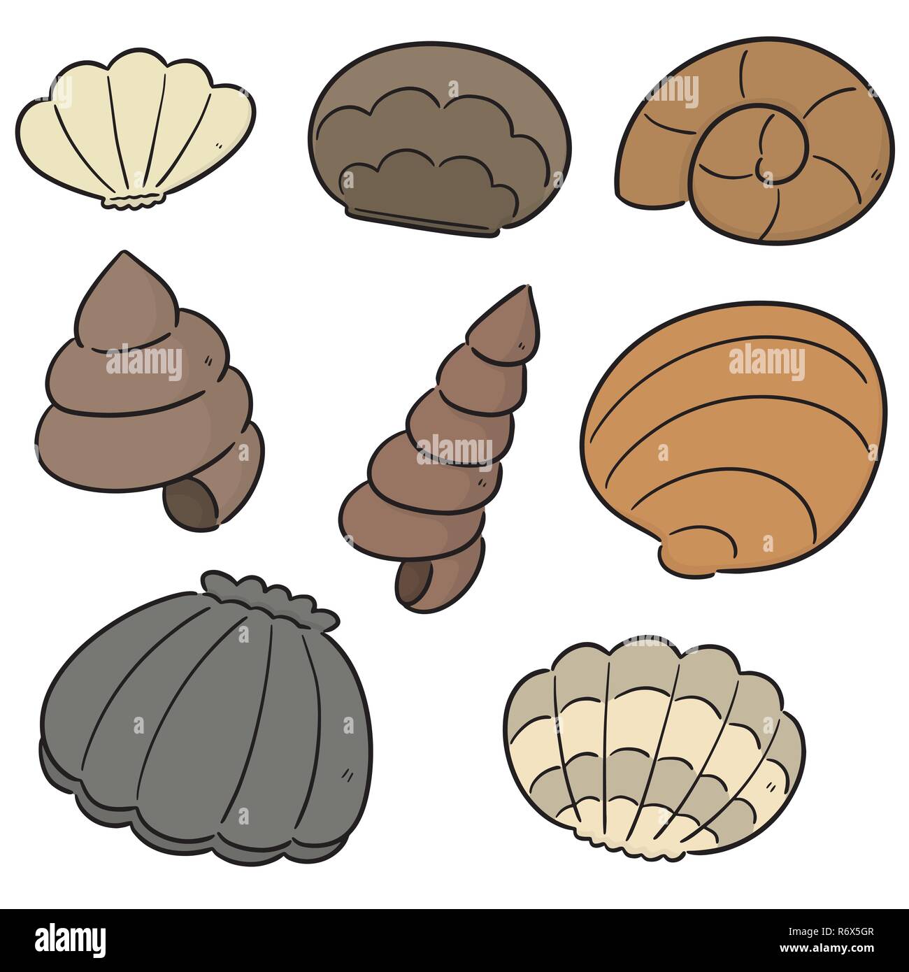 Oyster shell clams Stock Vector Images - Alamy