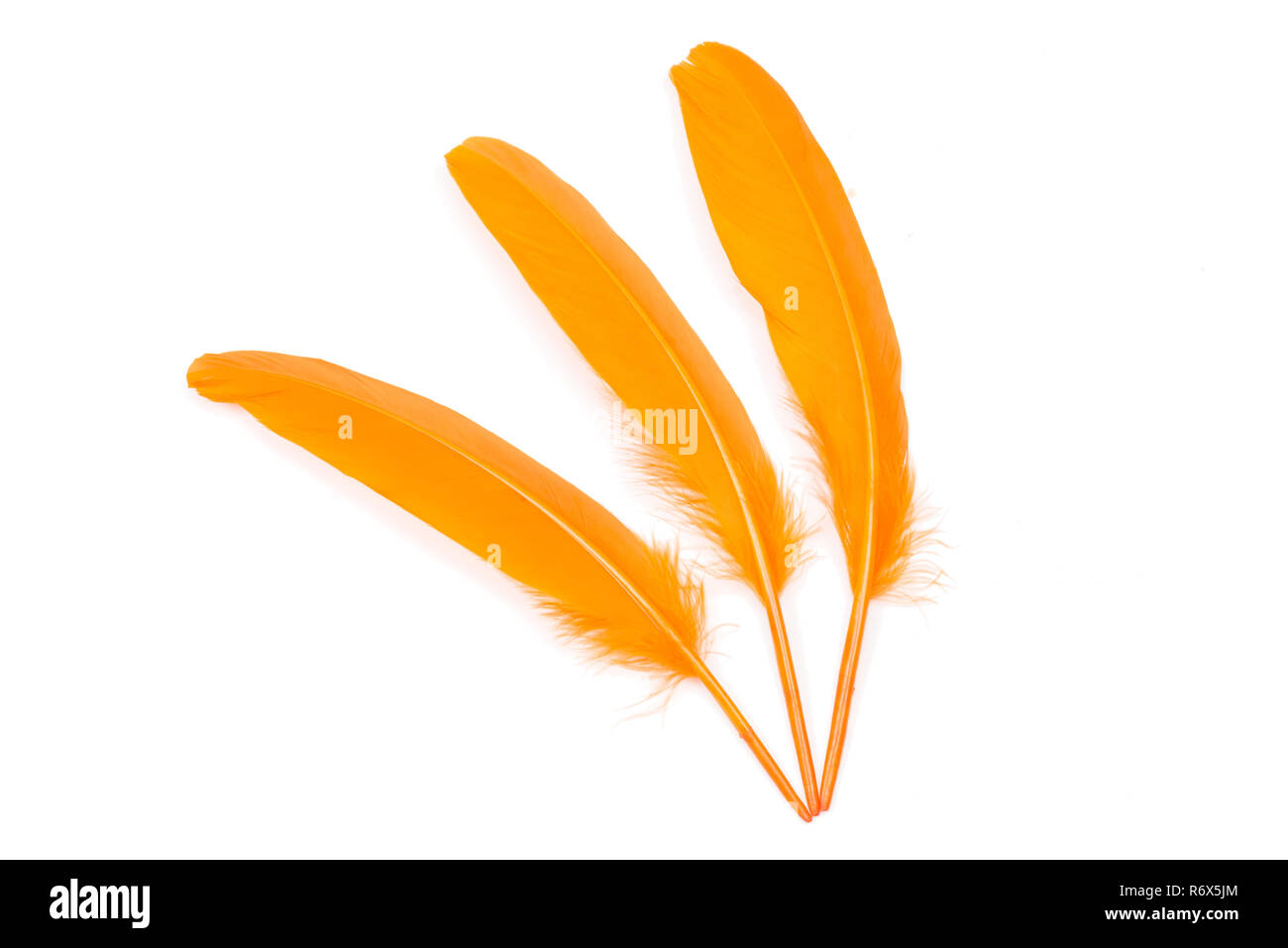 Three feather plume Cut Out Stock Images & Pictures - Alamy