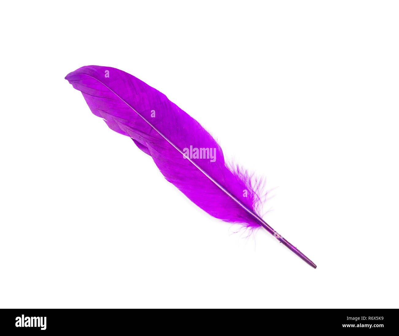 Feather curve hi-res stock photography and images - Alamy