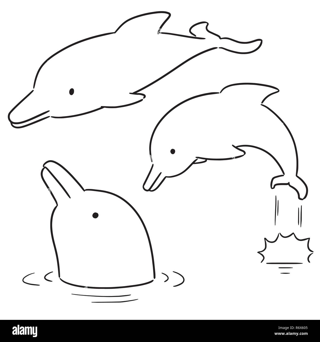 Simple line art drawing dolphin Black and White Stock Photos & Images ...