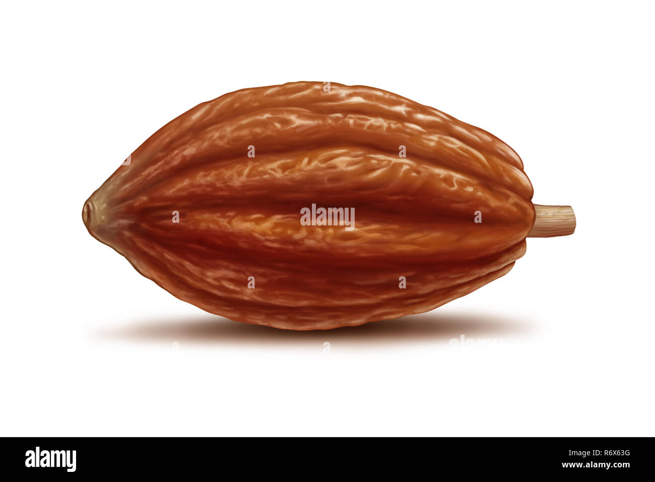 Cocoa plant illustration Cut Out Stock Images & Pictures - Alamy