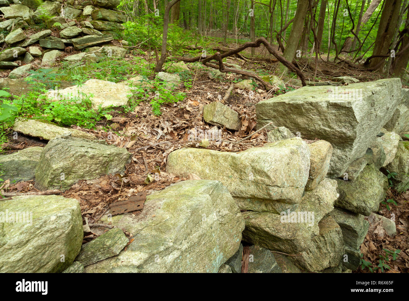 Hinge park hi-res stock photography and images - Alamy