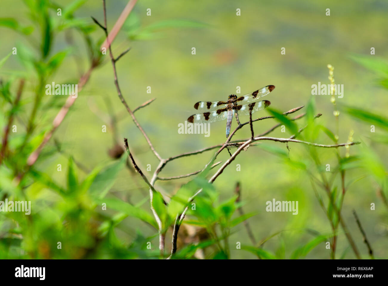 Demarest kill county park hi-res stock photography and images - Alamy